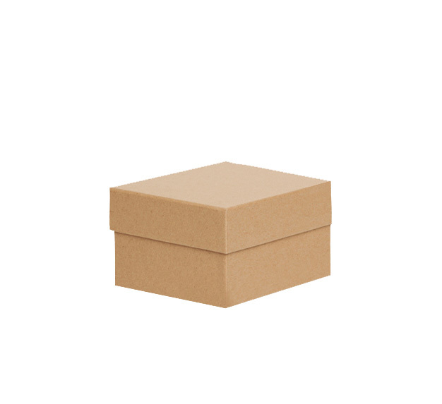 Kraft X-Small Gift Box: 120mm (W) x 120mm (L) x 80mm (D) - Carton of 20 ...