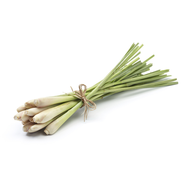 5 LT Citronella Ceylon Essential Oil - New Directions Australia