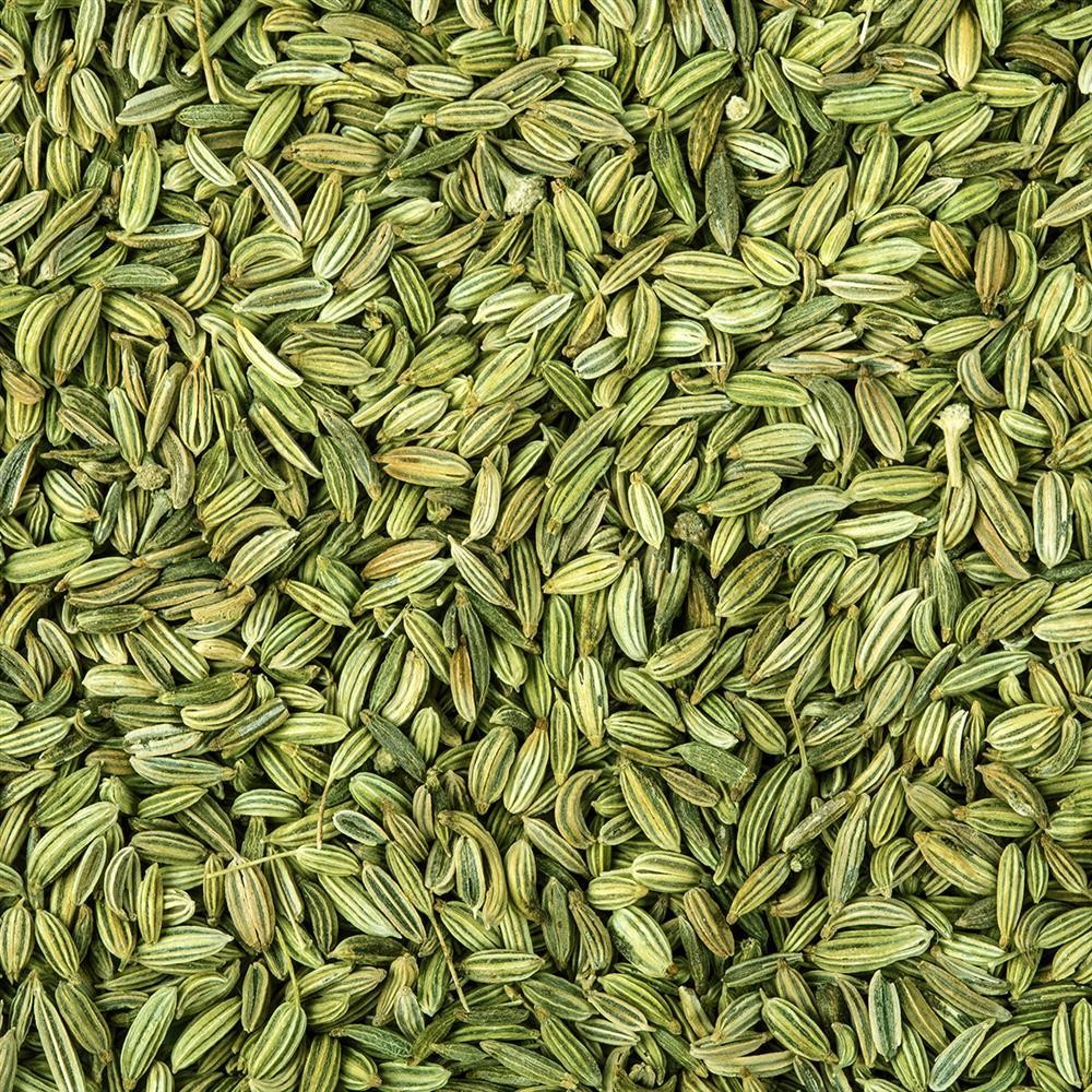 5 kg Fennel Seed Dried Herb - New Directions Australia