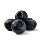 500 g Bilberry - Liquid Extract [Glycerine Based] - New Directions ...