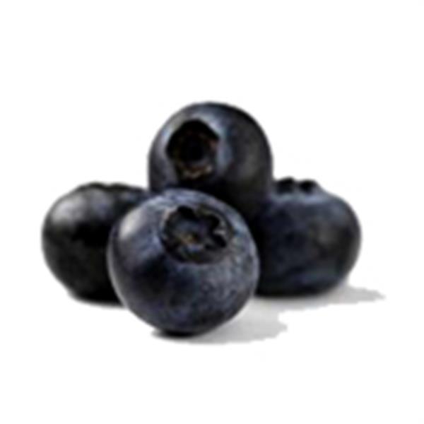 20 LT Bilberry - Liquid Extract [Water Based] - New Directions Australia