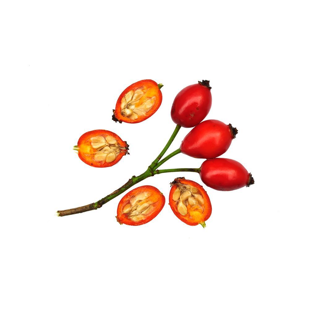 500 ml Rosehip Seed Virgin Oil - New Directions Australia