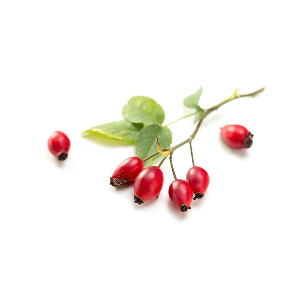 1 Kg Rosehip - Liquid Extract [Glycerine Based] - New Directions Australia