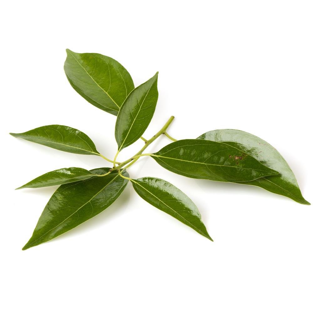 6 ml Ho Wood Essential Oil - New Directions Australia