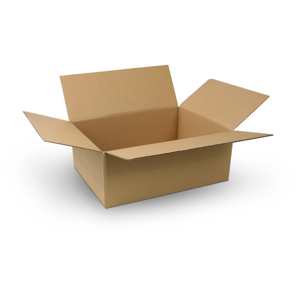 X-Large Brown Shipping Carton: 410mm (W) x 310mm (L) x 160mm (D ...