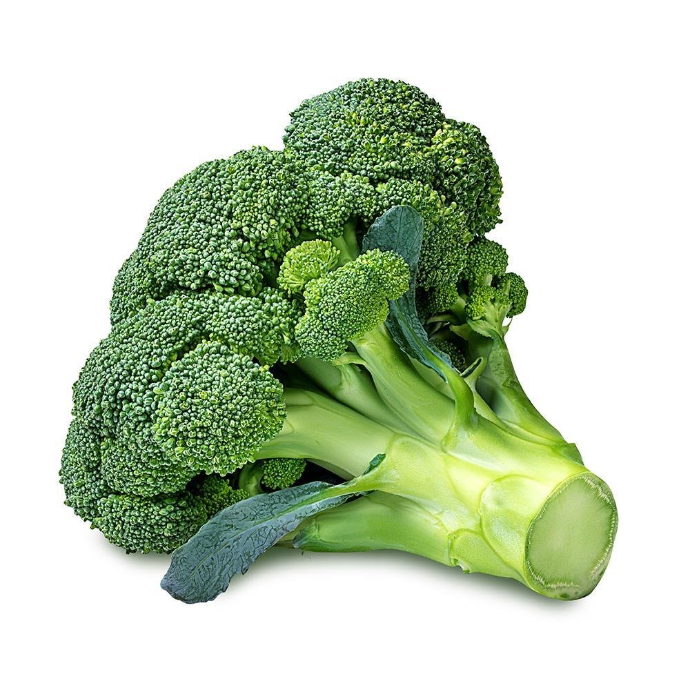 20 LT Broccoli Seed Oil - New Directions Australia