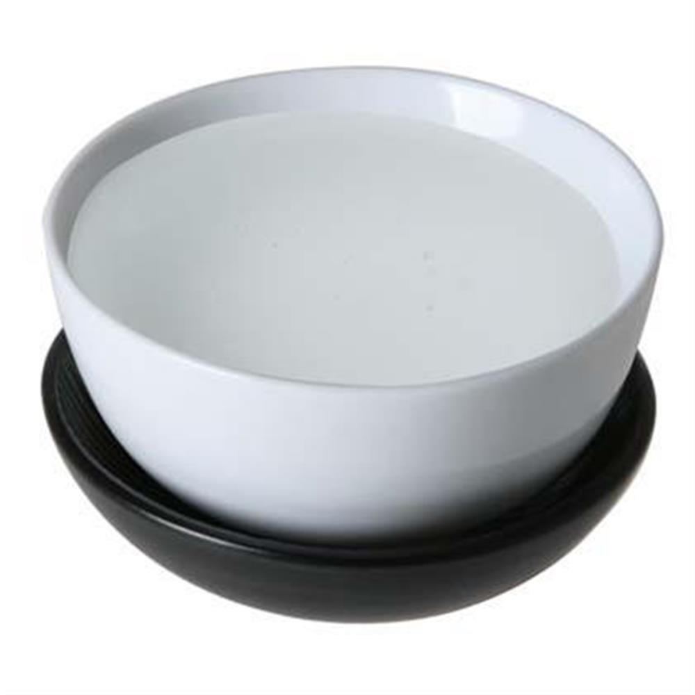 100 ml Dimethicone / Dimethiconol - New Directions Australia