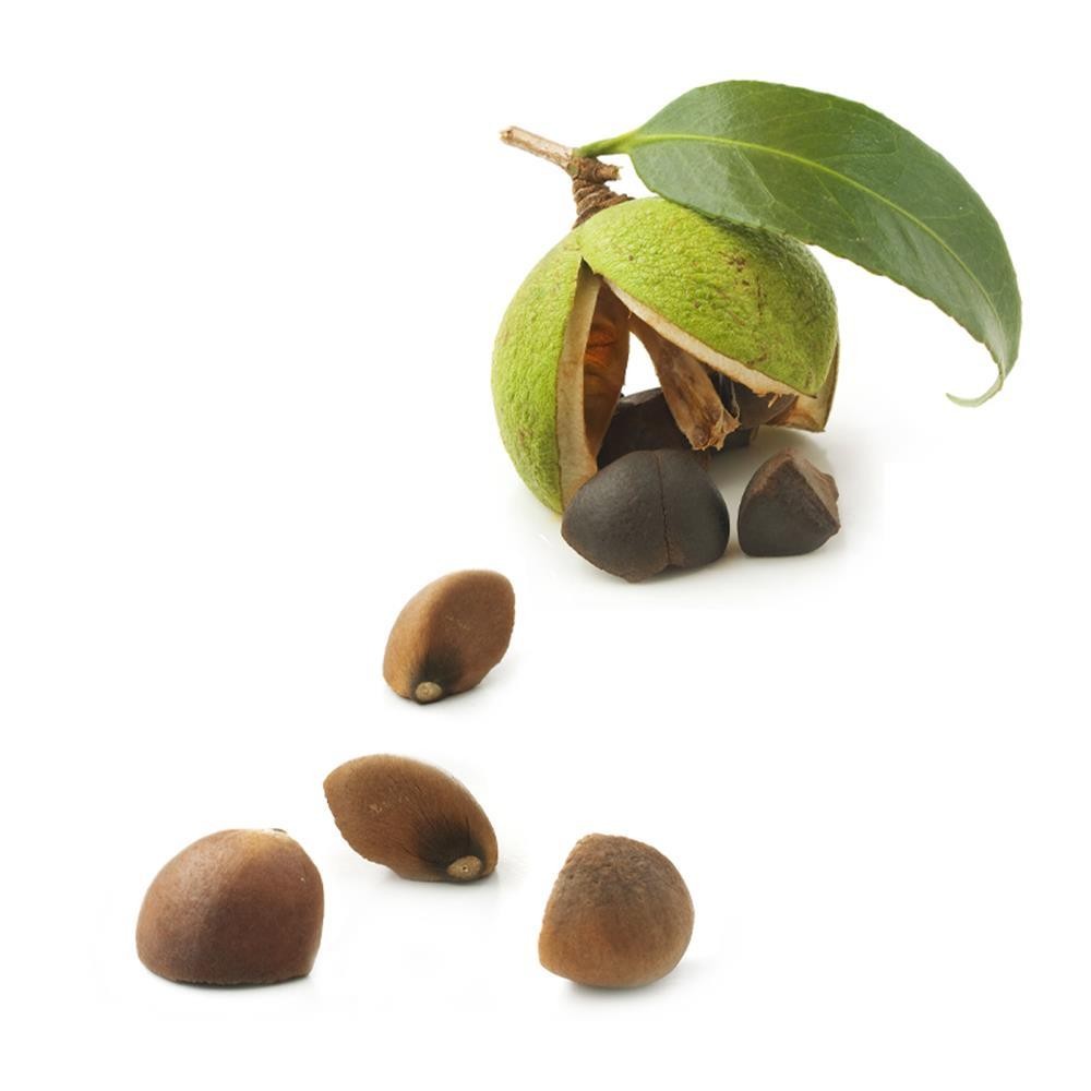 100 ml Black Tea Seed Oil - New Directions Australia